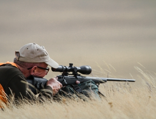 Animal Shooting
